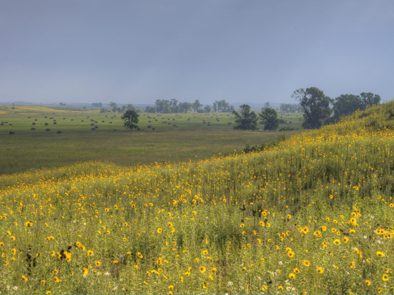 Overview | The Nebraska Star Party